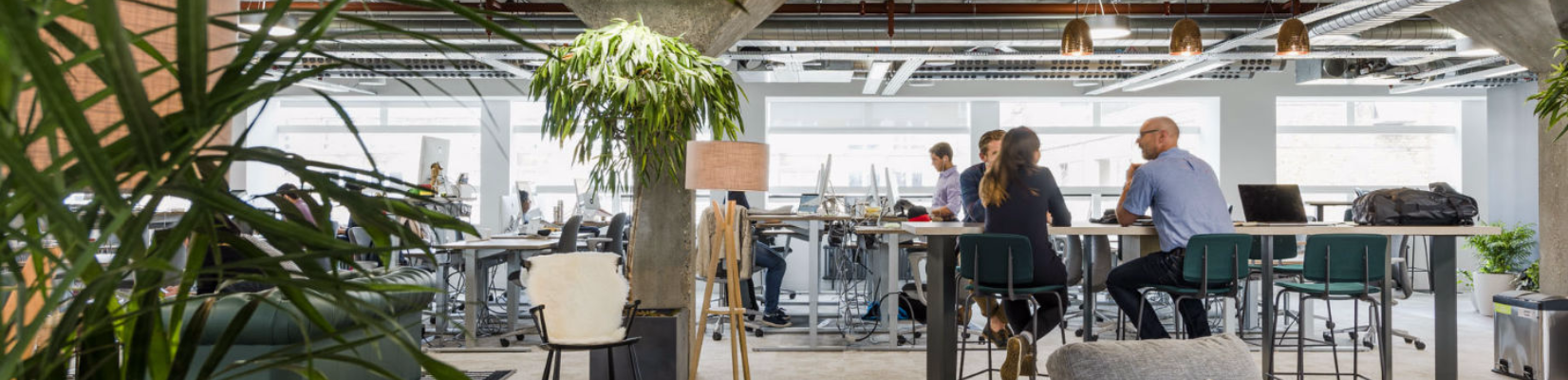 Stripe Jobs & Careers | Jobbio